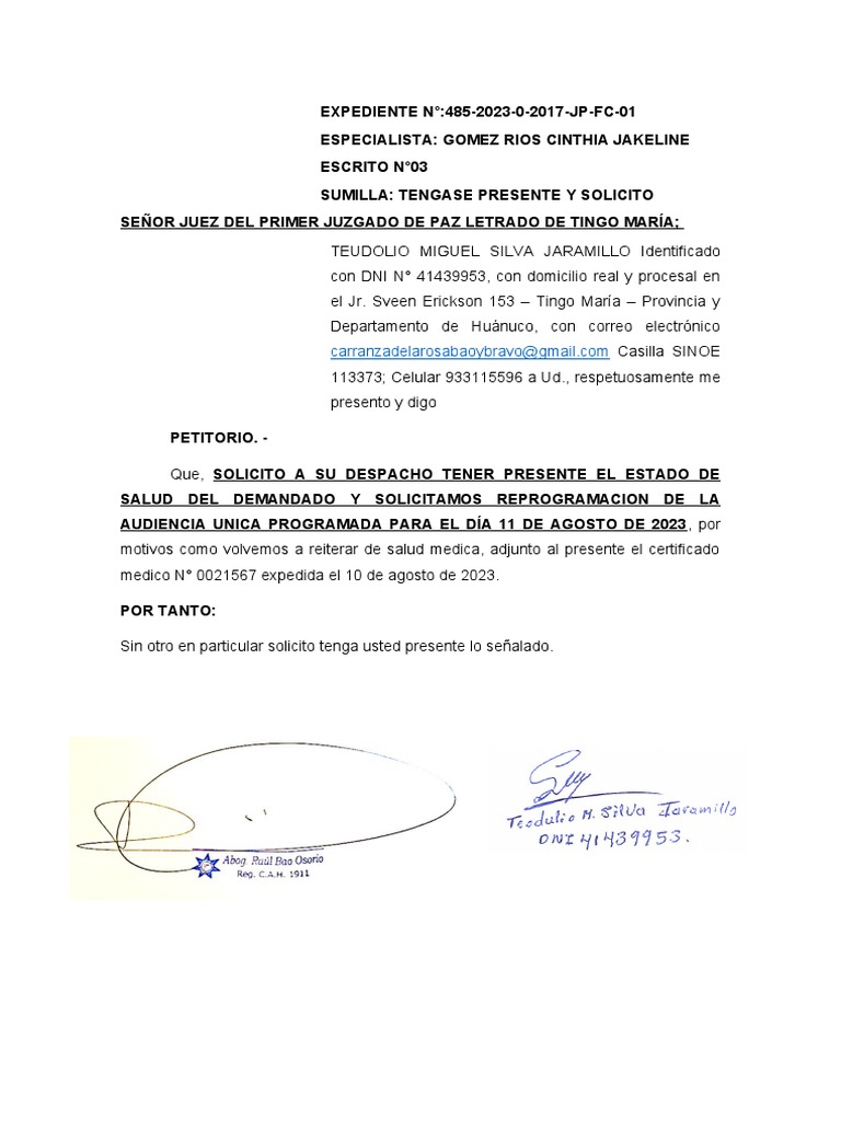 Escrito Solicitando Reprogramacion | PDF