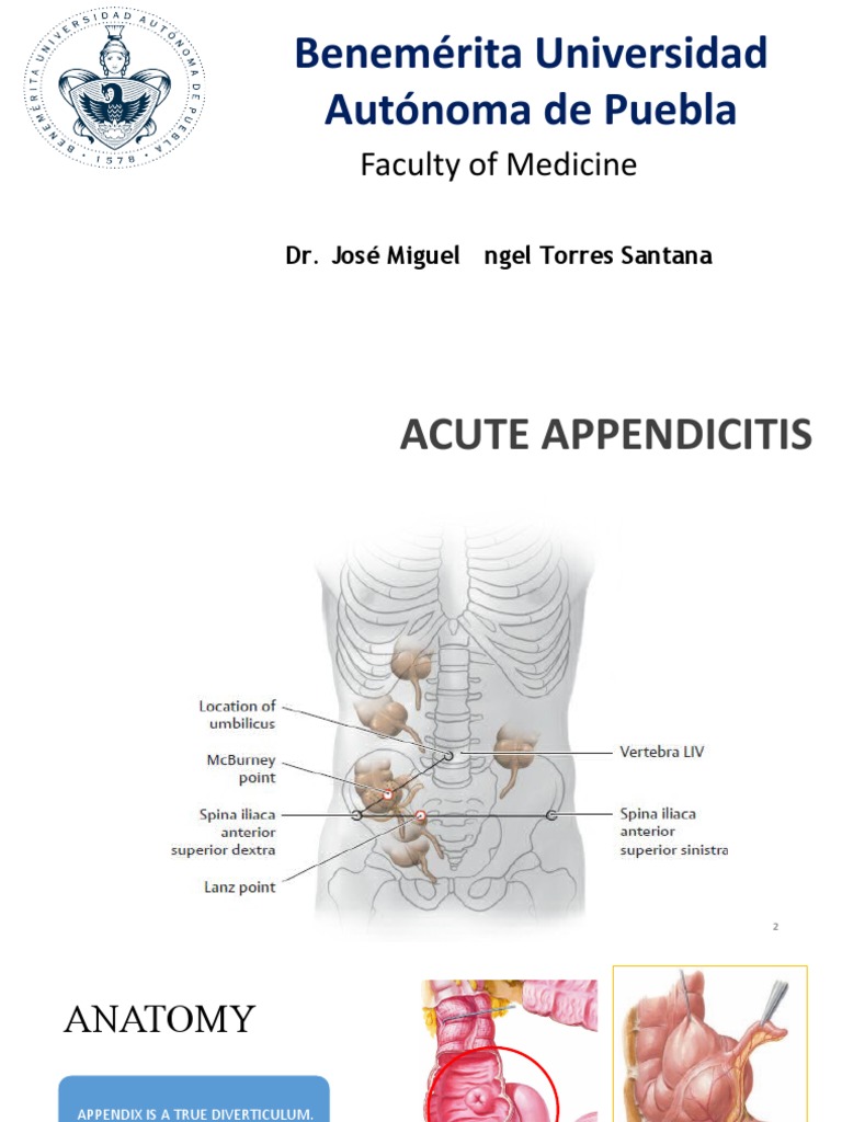 APPENDICITIS ENG 22 DIGESTIVE CLASS | PDF