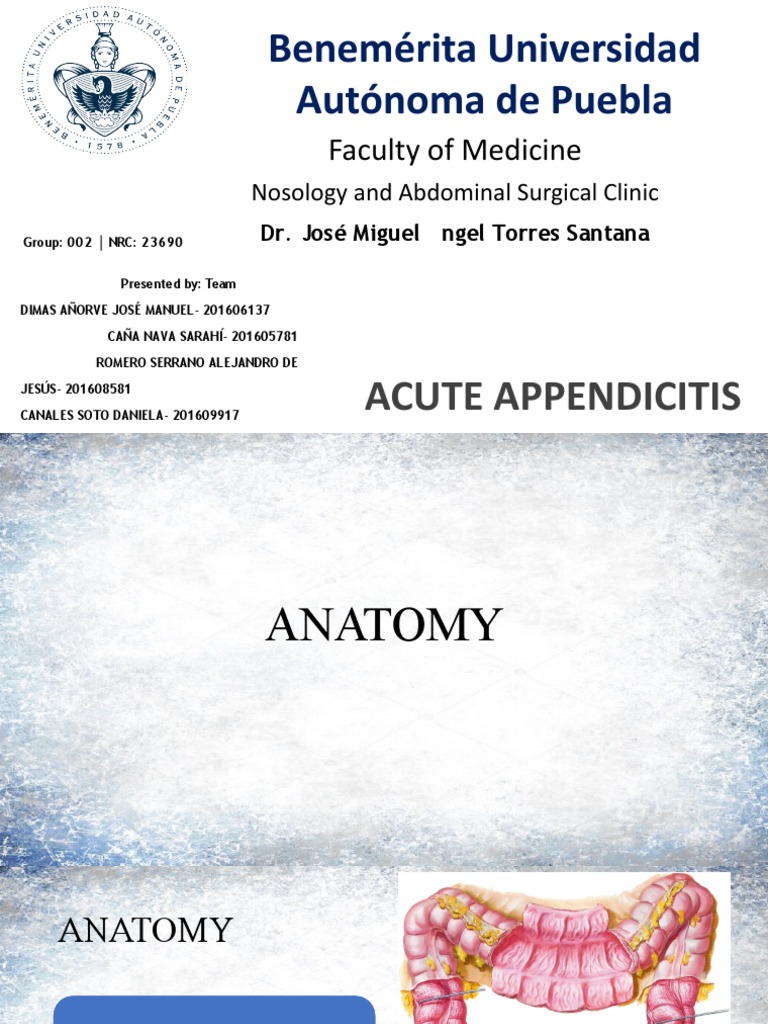 Acute Appendicitis for Med Students | PDF | Causes Of Death ...