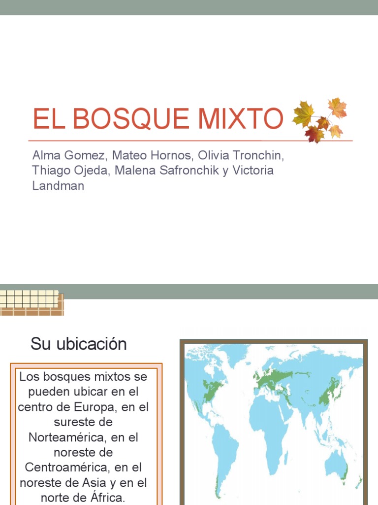 El Bosque Mixto | PDF