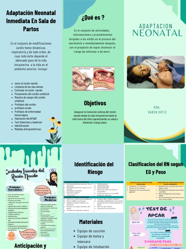 Folleto Adaptación Neonatal | PDF