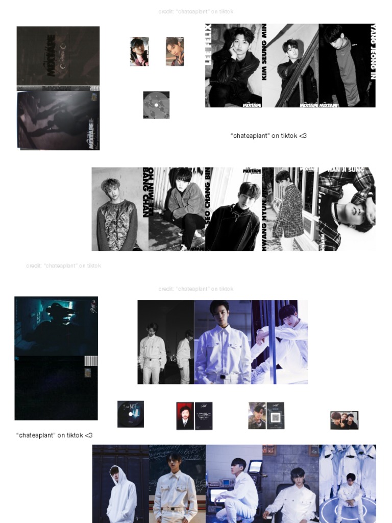 SKZ - Mini Albums - Chateaplant | PDF