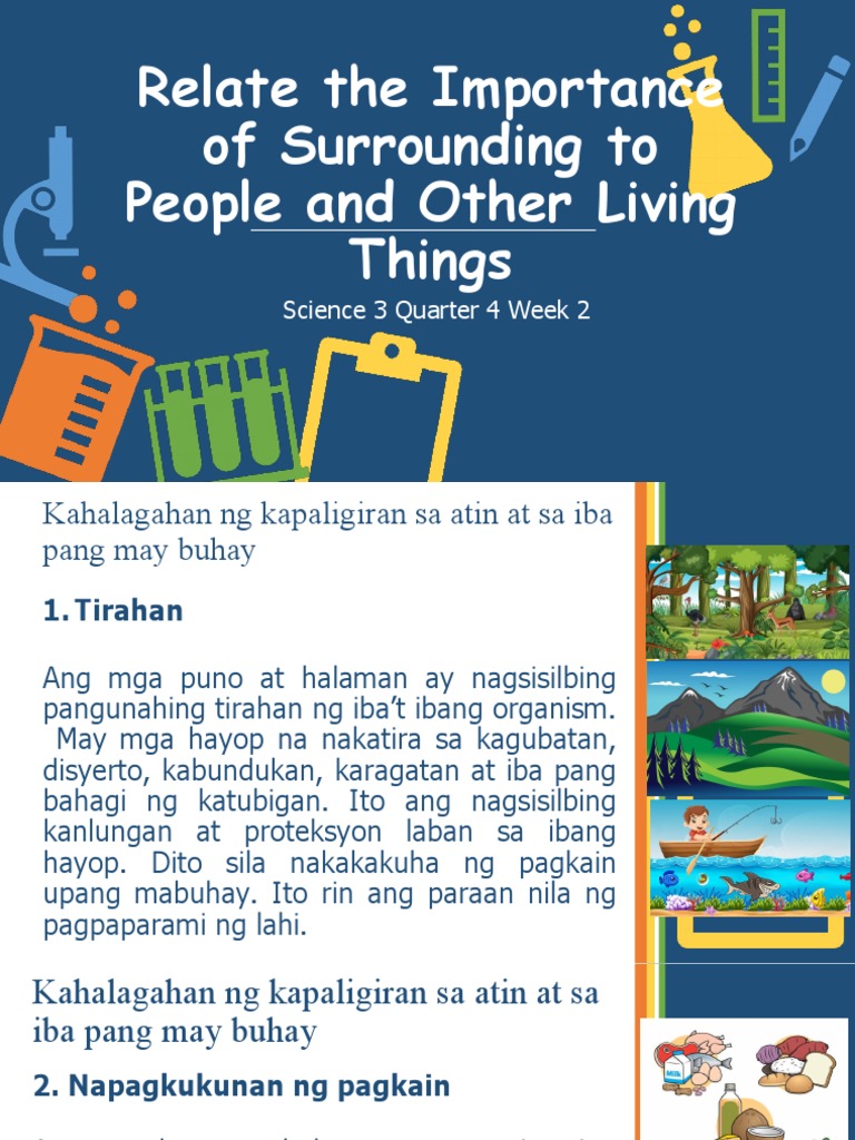 Relate The Importance of Surrounding To People and | PDF