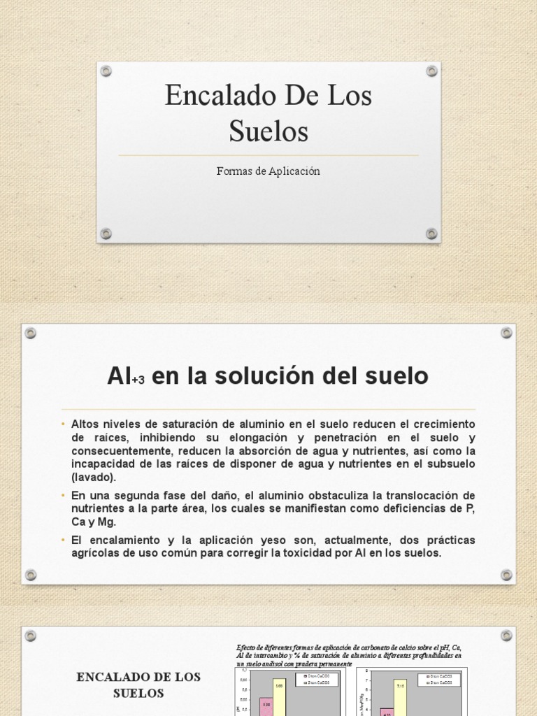 Encalado de Los Suelos | PDF | Calcio | Suelo