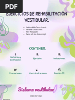 Maniobras para Vértigo Paroxístico Benigno | PDF | Vértigo | Medicina ...