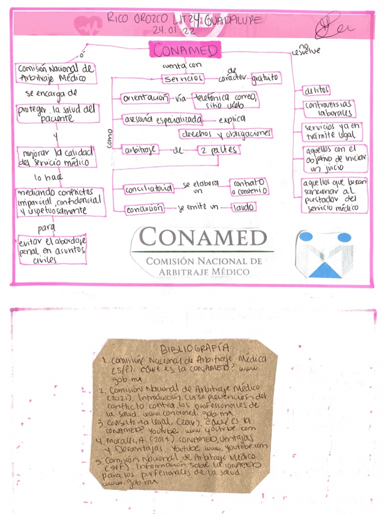 Mapa Conceptual: CONAMED | PDF