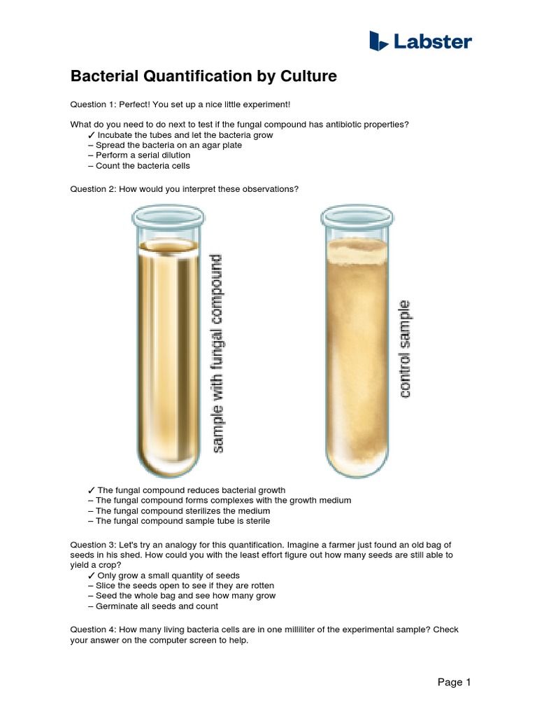 Bacterial Quantification & Fungal Antibiotic Test | PDF | Bacteria | Fungus