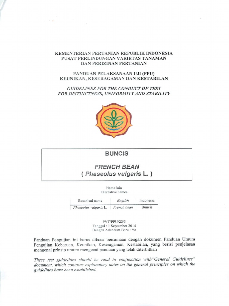 Ppu Buncis | PDF