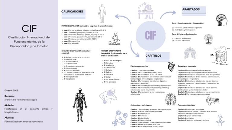 Cif Mapa Mental | PDF