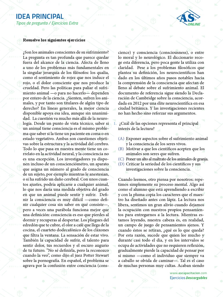 Idea Principal | PDF