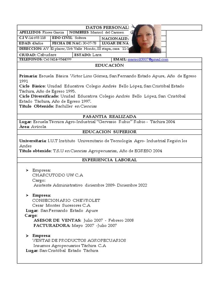 Curriculum Marisol Flores | PDF | Informática