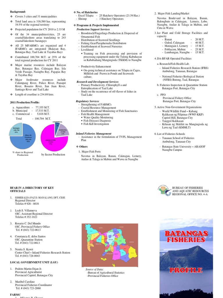 Profile Batangas BFAR | PDF