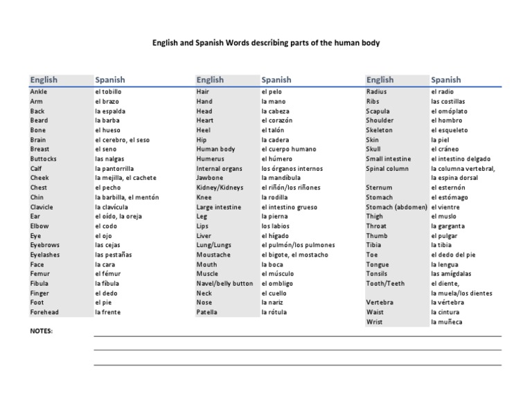 Spanish English Dictionary - The Human Body | PDF | Sistema esquelético ...