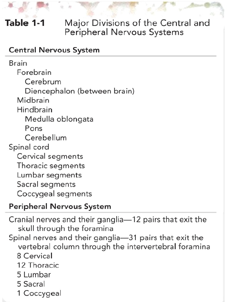 All Charts of Snell Neuroanatomy | PDF
