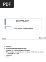 Prurigo por Insectos: Causas y Tratamiento | PDF | Enfermedades y ...
