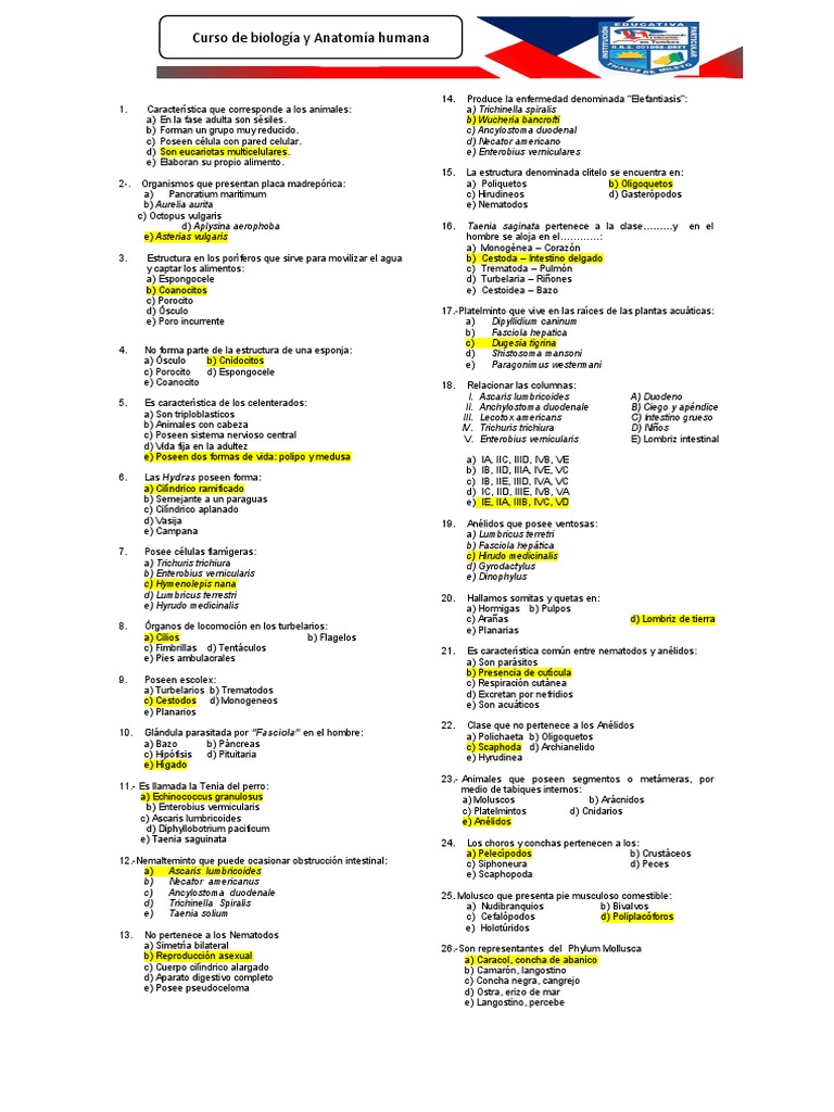 Tema 5 - REINO ANIMAL - Biología Con Claves | PDF