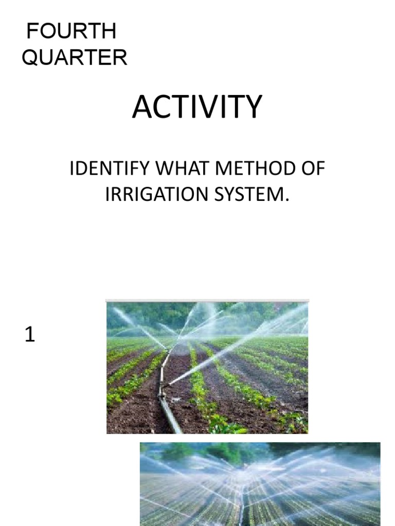 Tle 10 Activity | PDF