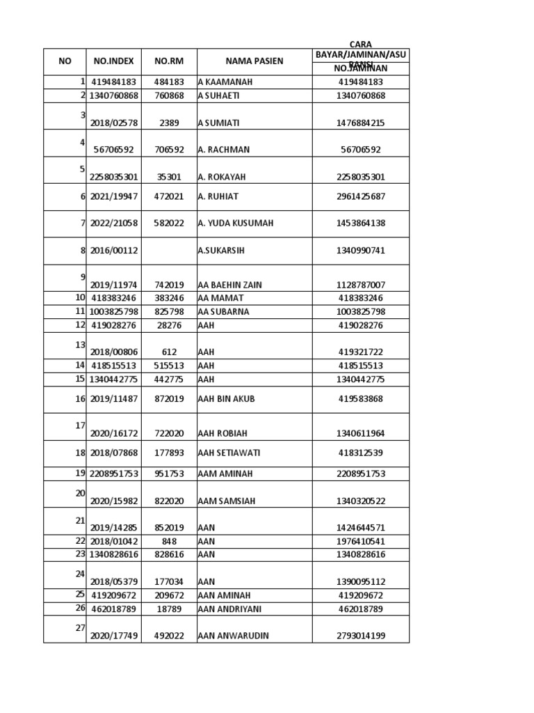 Data Kunjungan | PDF