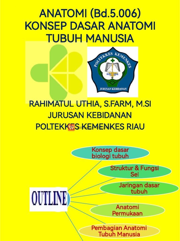 Konsep Dasar Anatomi Manusia Pdf