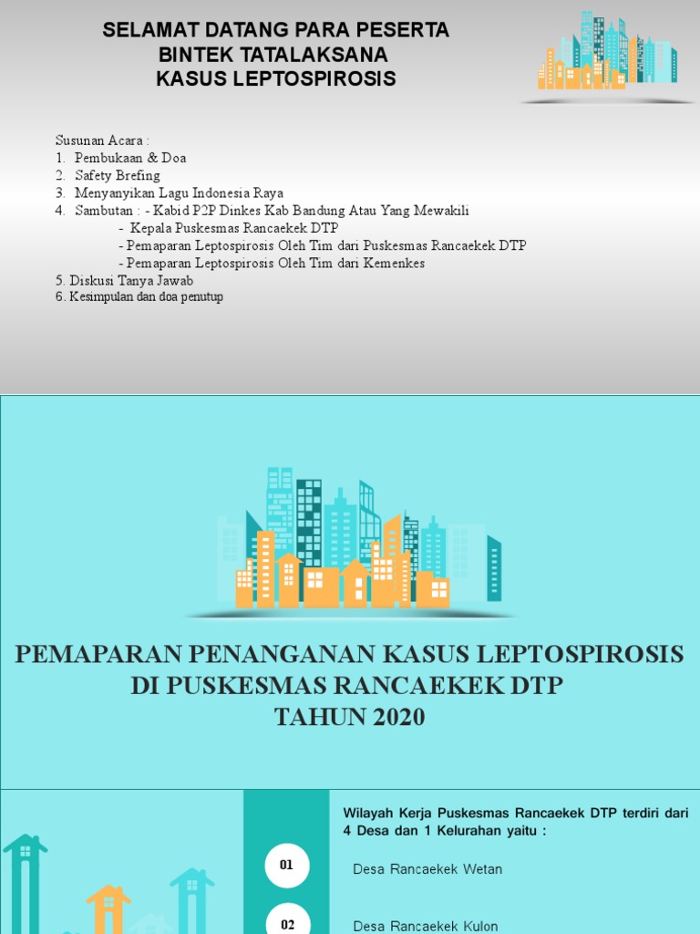 Leptospirosis Presentasi Hari Rabu Tanggal 26-02-2020 | PDF