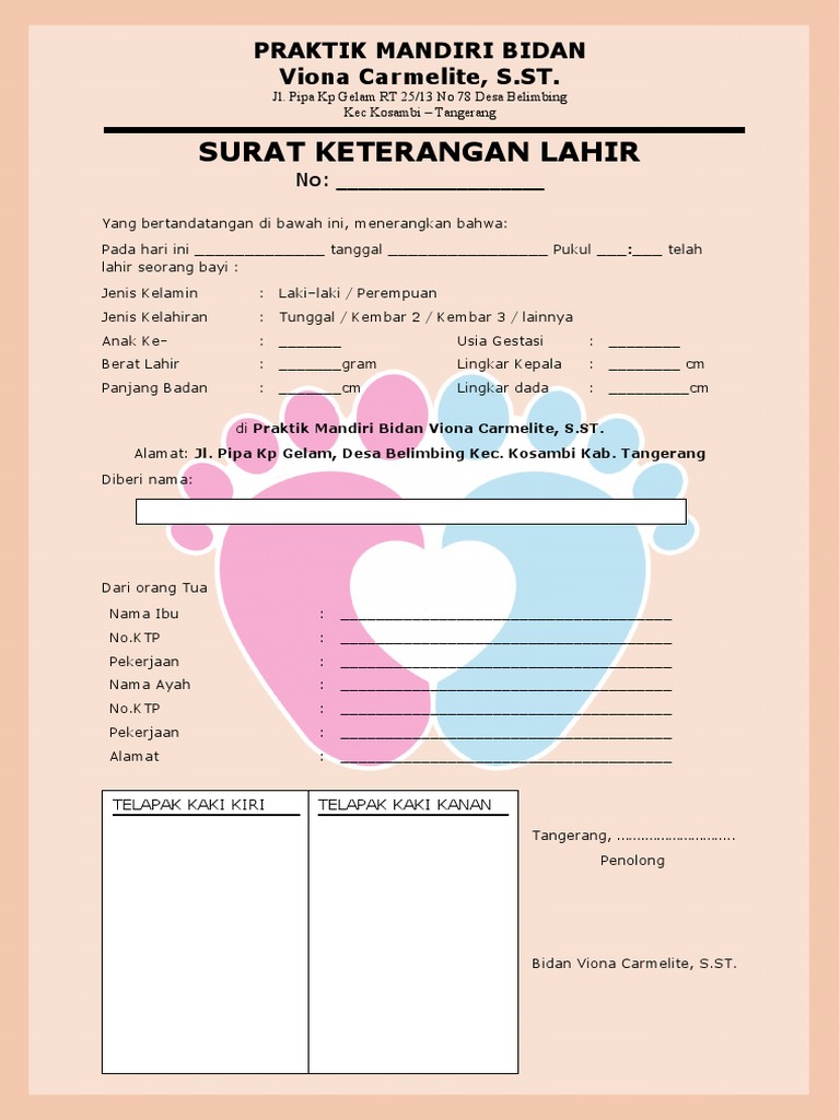 Surat Keterangan Lahir | PDF