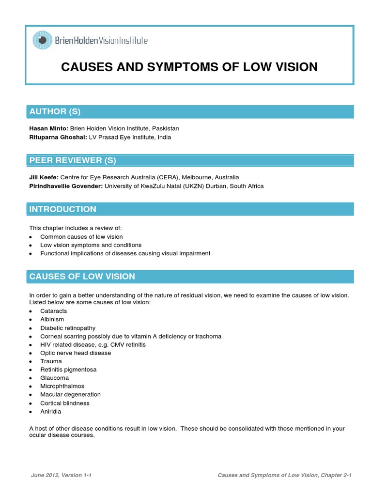 02 Causes and Symptoms of Low Vision | PDF | Visual Impairment | Visual ...