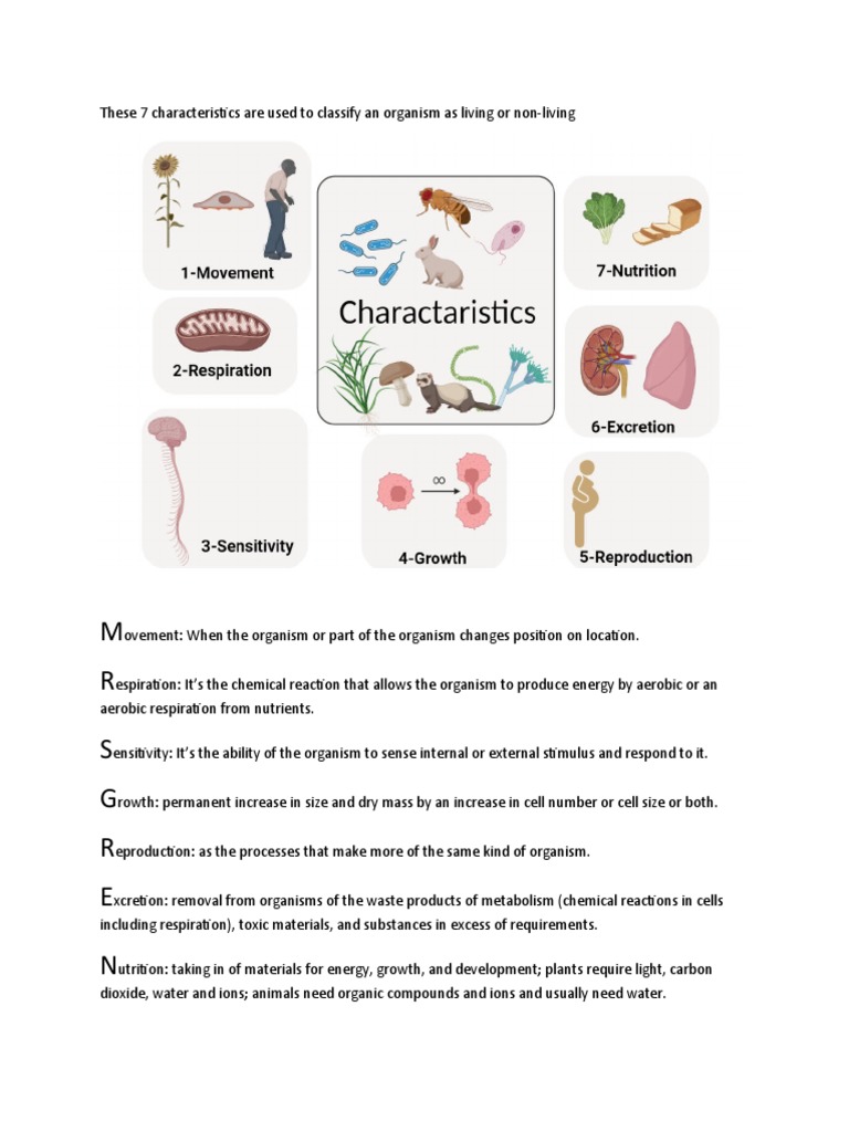 7 Characteristics | PDF