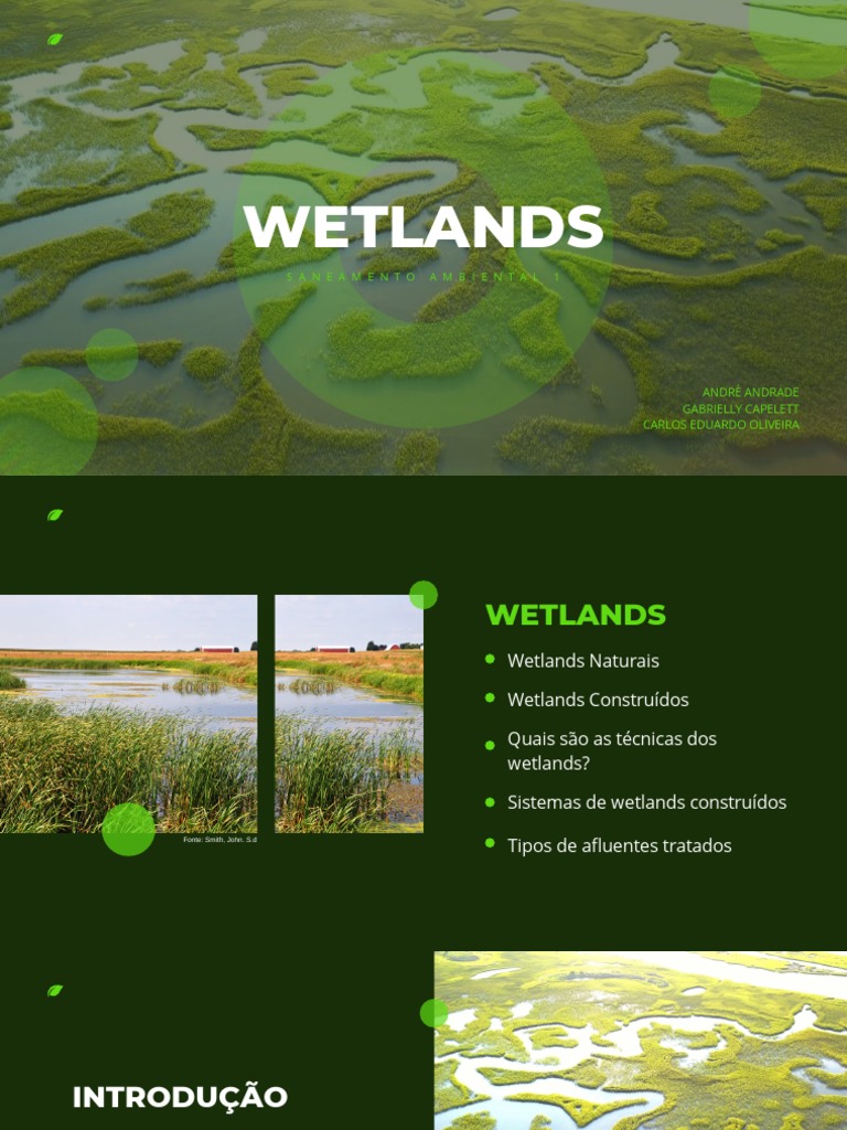 Wetlands | PDF