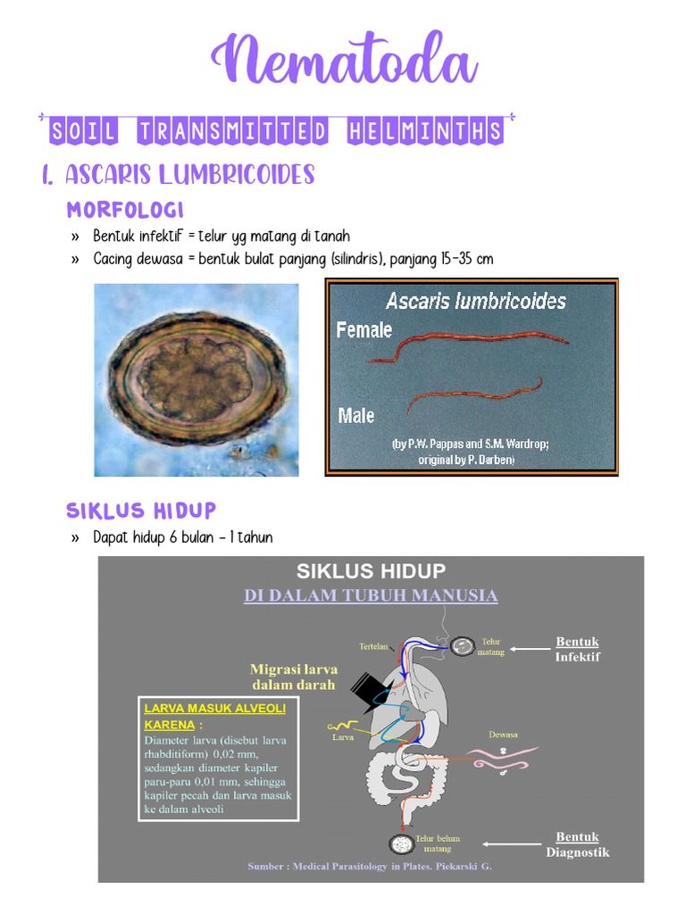 NEMATODA | PDF | Kesehatan Holistik | Sains & Matematika