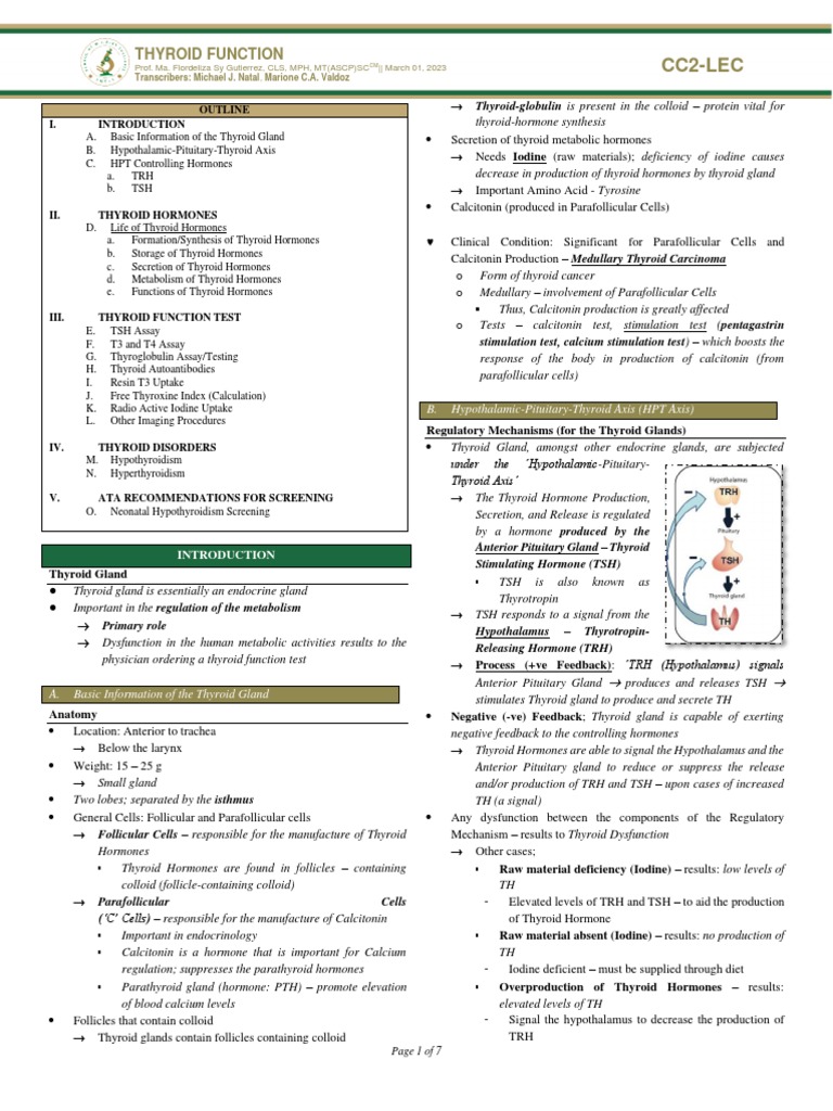 M1. Thyroid Function CC2 LEC | PDF