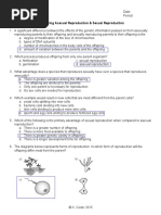 Identifying Variables Worksheet | PDF