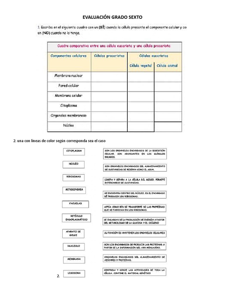 Evaluación Grado Sexto p1 | PDF