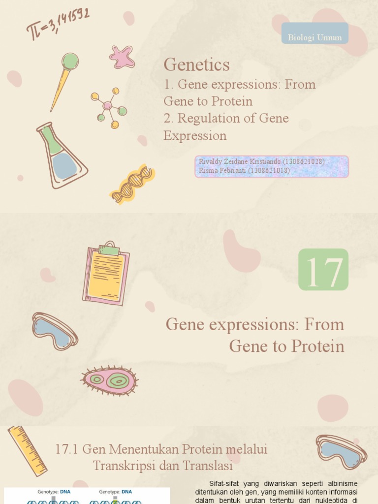 Mekanisme Ekspresi Gen dan Sintesis Protein | PDF