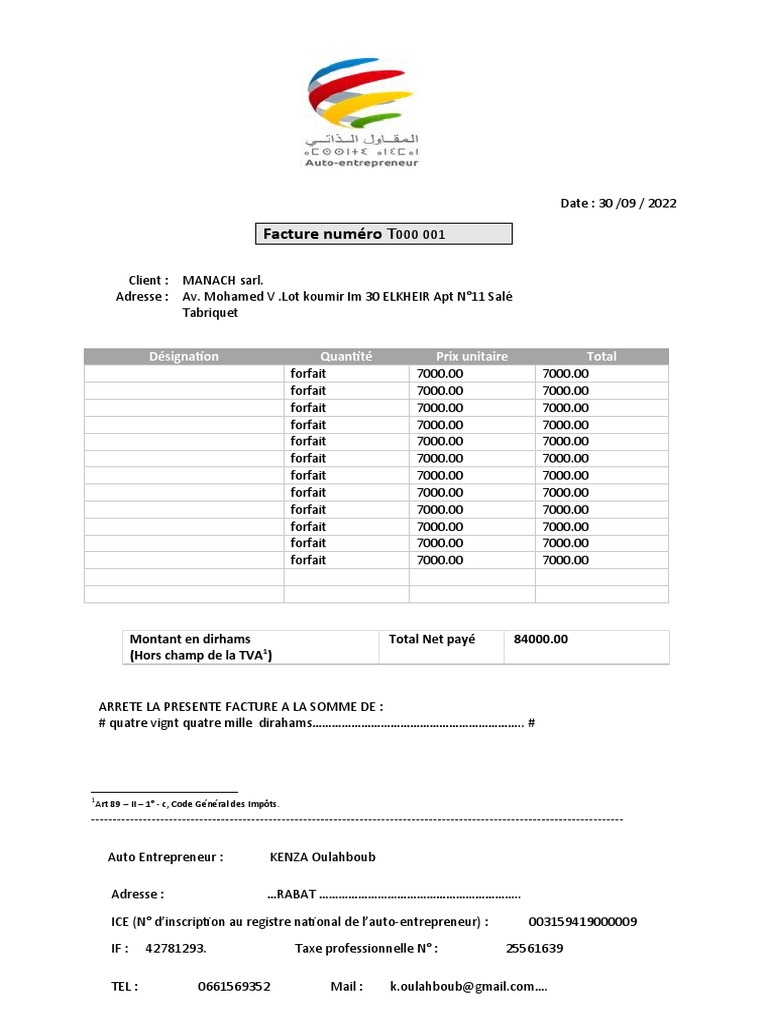 Modèle Facture Auto Entrepreneur FR | PDF