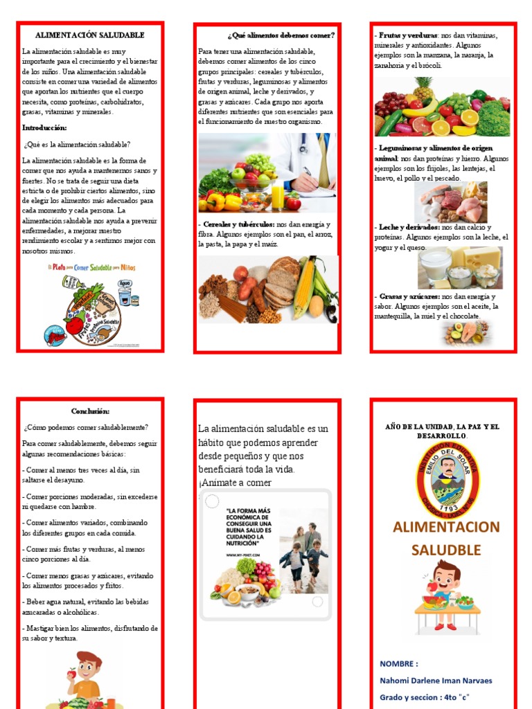 TRIPTICO Alimentacion Saludable | PDF