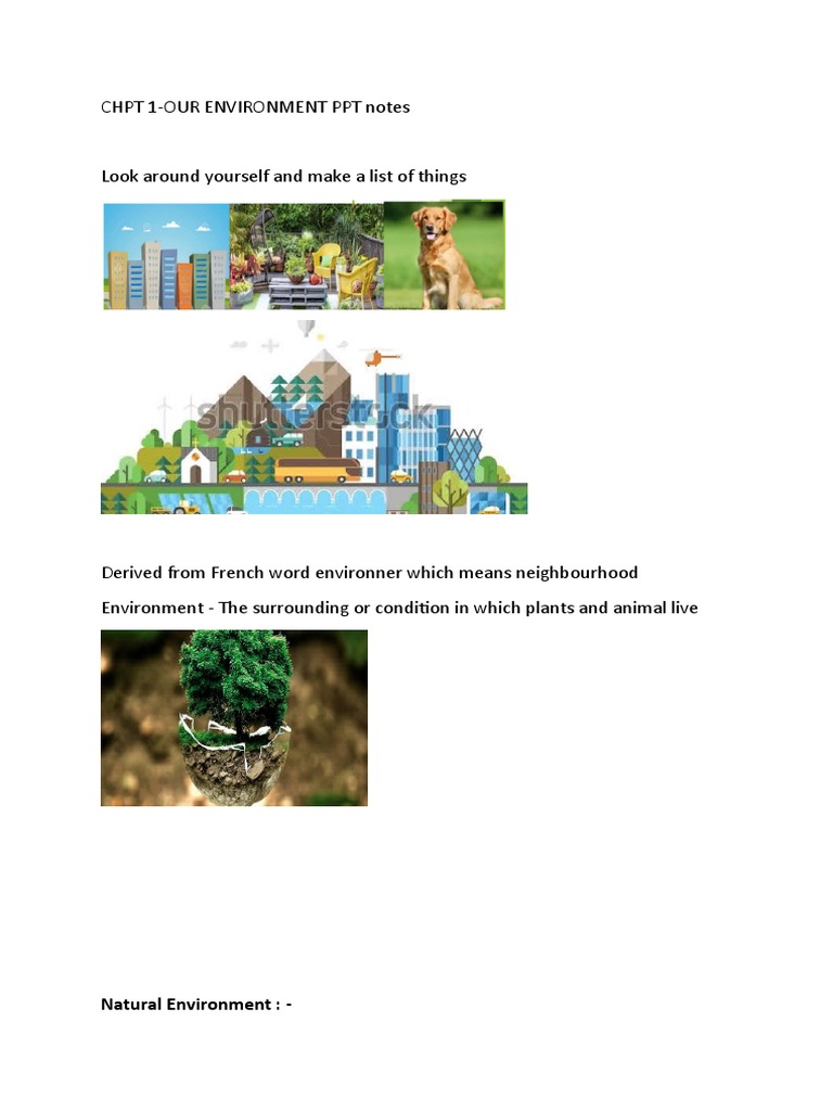 CHPT 1-OUR ENVIRONMENT PPT and Textual Notes - WPS Office | PDF