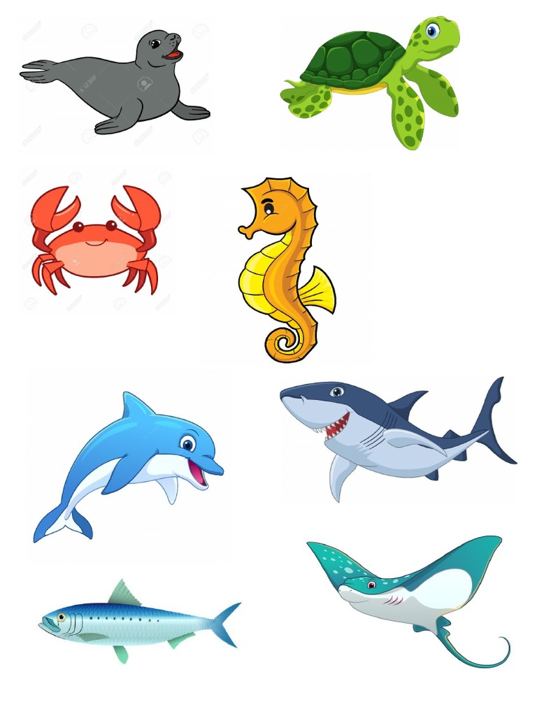 Animales Del Mar | PDF