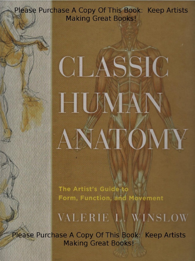 Classic Human Anatomy The Artist's Guide To Form, Function, and ...