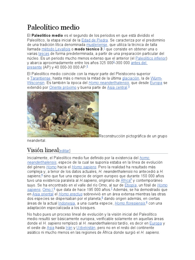 Evolución del Paleolítico Medio | PDF