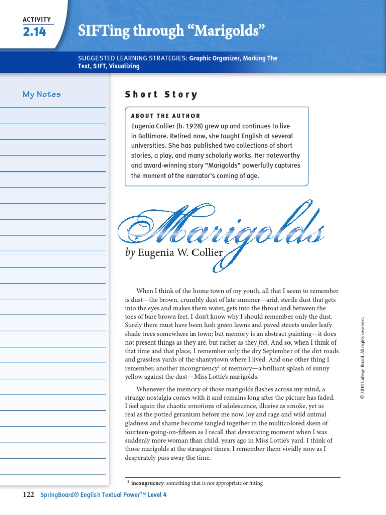 Marigolds SpringBoard Workbook | PDF