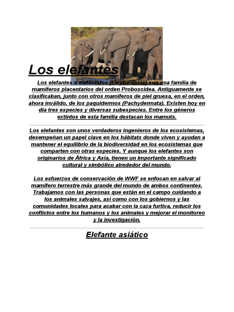 Características y hábitat de los elefantes | PDF | Organismos
