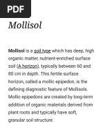 Types of Enzymes and Their Function in Human Body | PDF