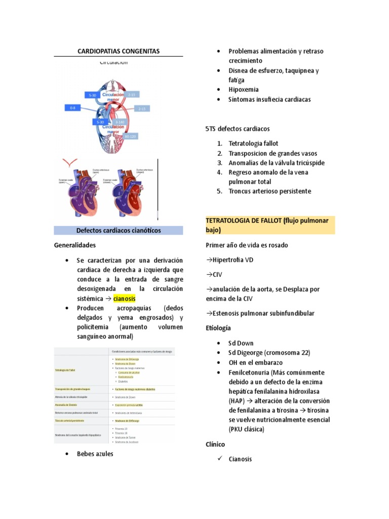 Defectos Cardíacos Congénitos en Niños | PDF | Corazón | Aorta