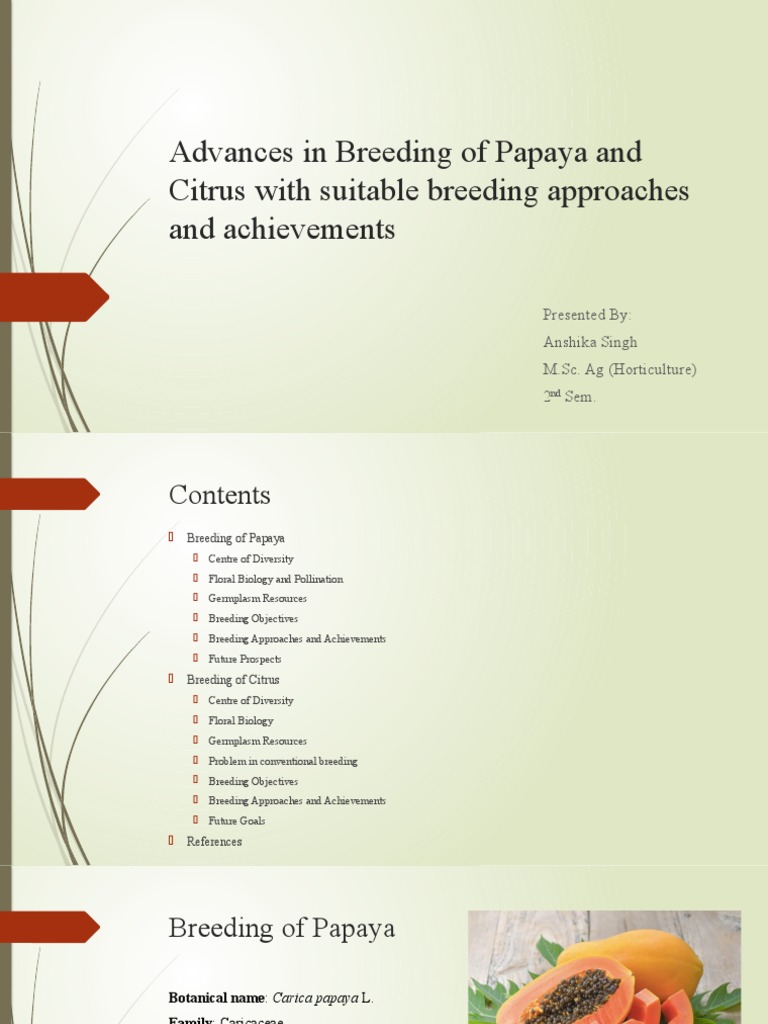 Breeding of Citrus and Papaya | PDF