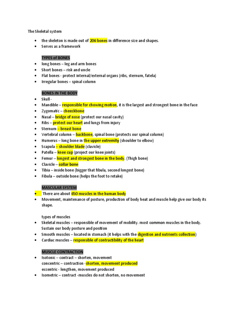 The Skeletal System NOTES | PDF | Skeletal Muscle | Shoulder
