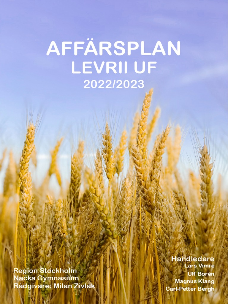 Levrii UF Affärsplan-Inlämning | PDF