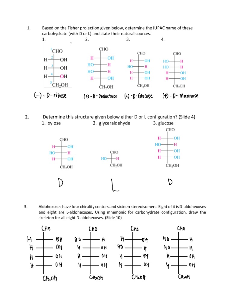 Assignment carbohydrate | PDF