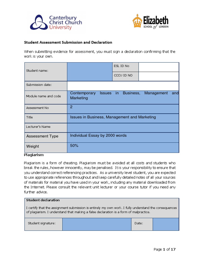 (CBM) Sample 2 Assignment - Individual Essay Part 2 | PDF