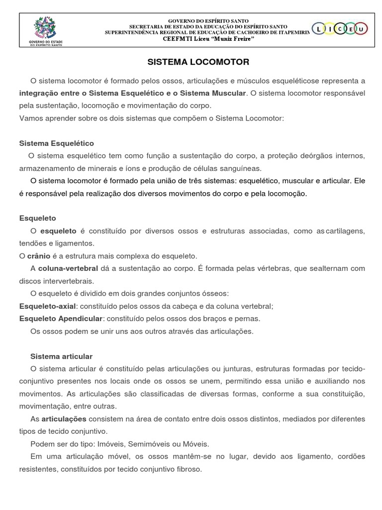 Sistema Locomotor Conteúdo E Atividade Pdf Músculo Esquelético