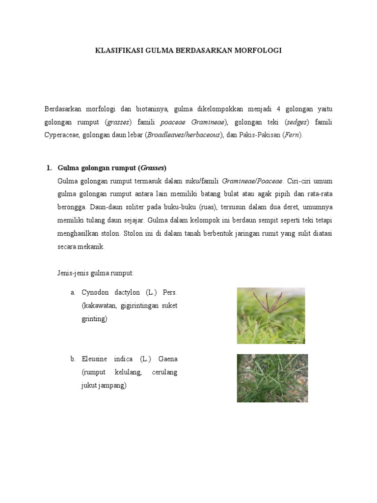 Klasifikasi Gulma Berdasarkan Morfologi | PDF | Griya & Taman | Sains ...
